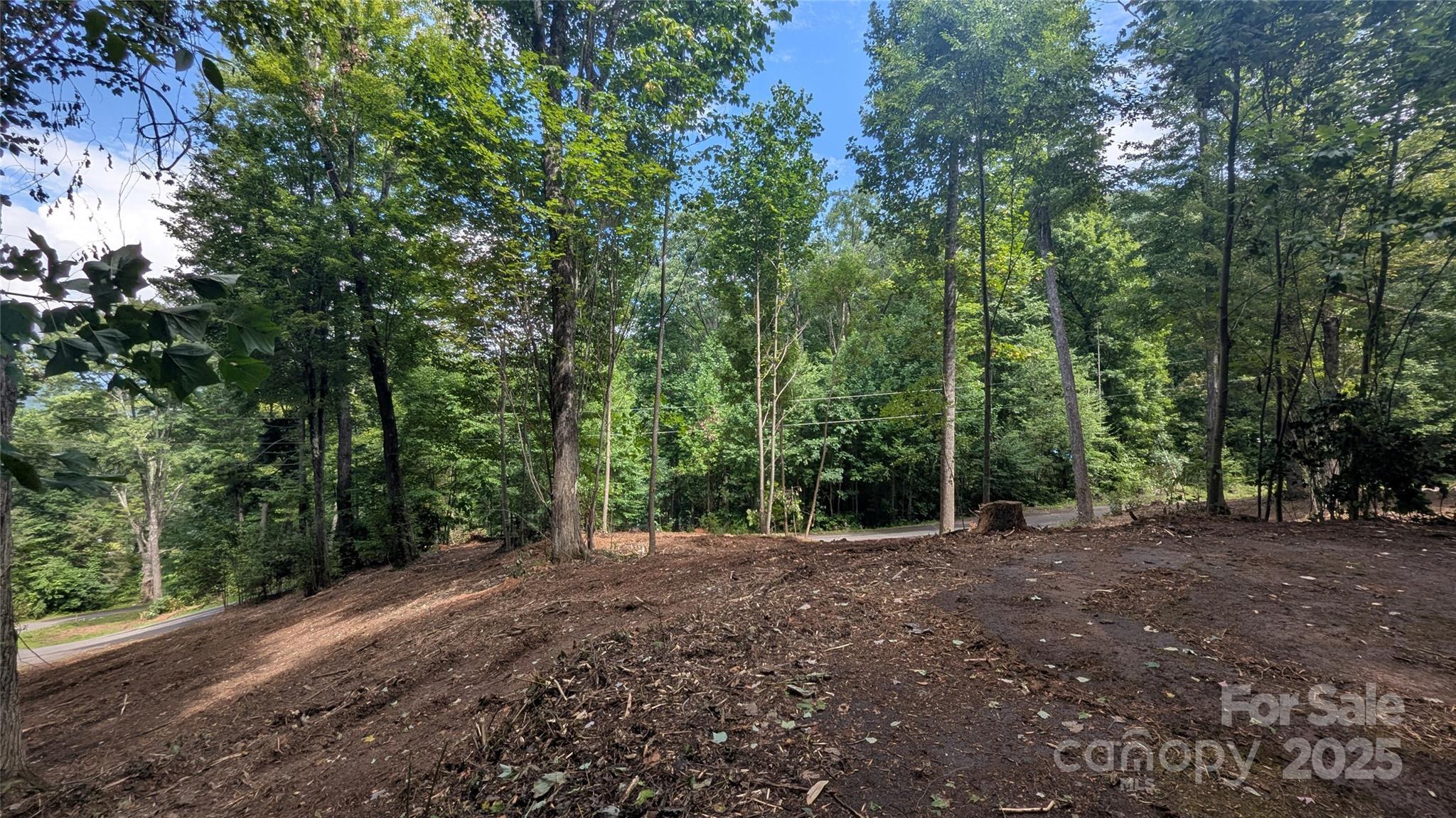 00 Chestnut Walk Drive, Waynesville, NC - lhrmls-03361121 ...