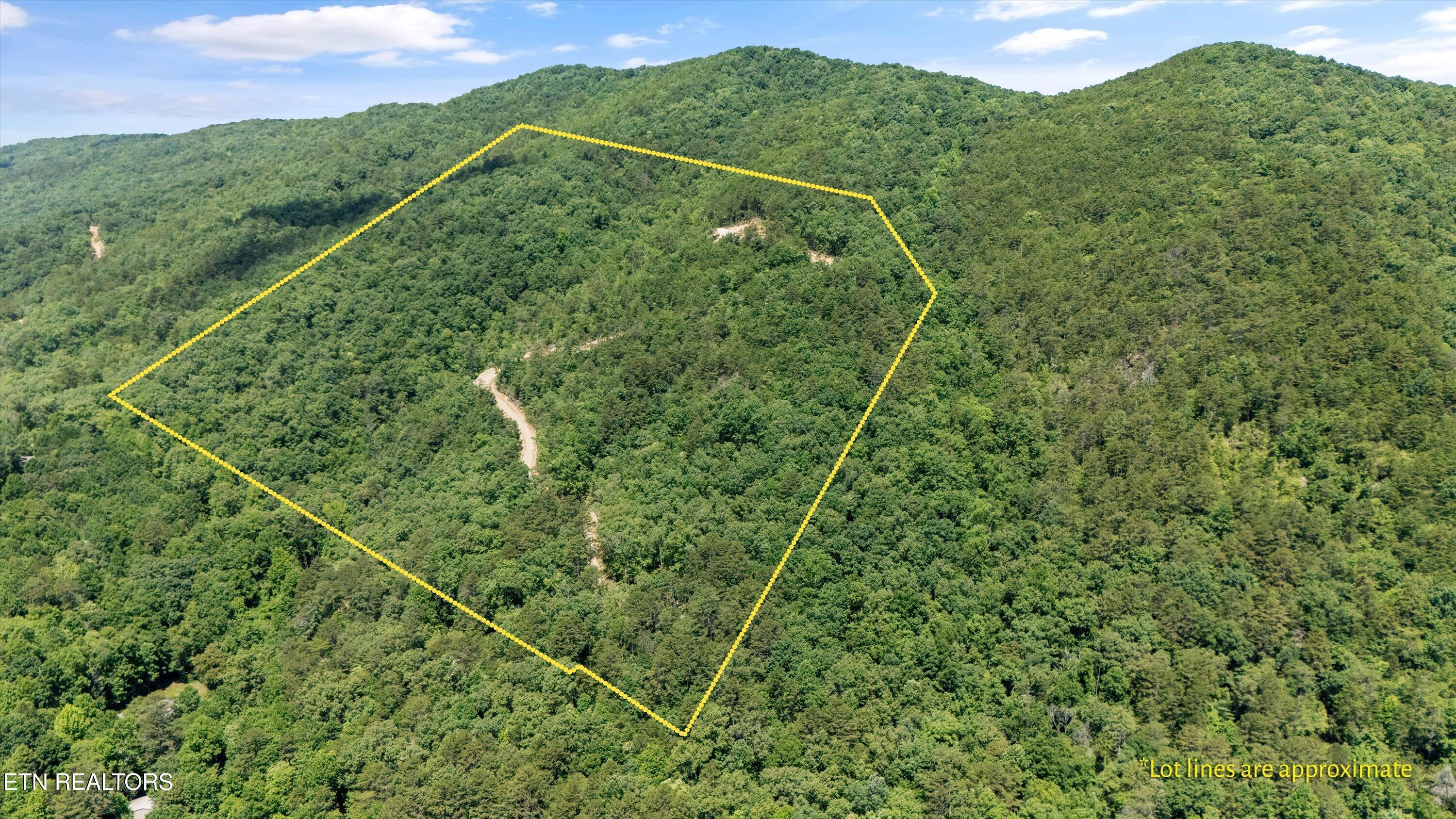 216 Old Cove Rd, Walland, TN - lhrmls-03149681 - MountainHomesRealty.com
